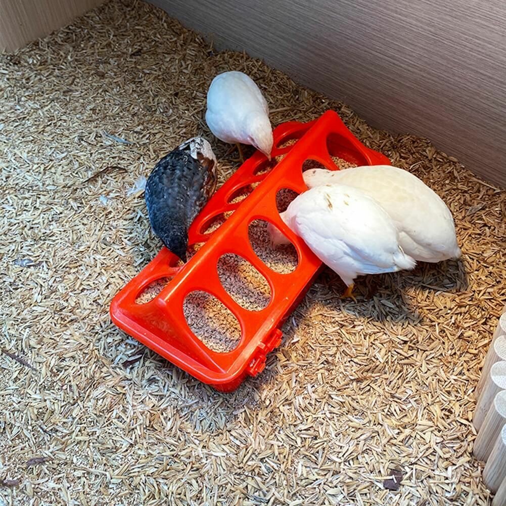 Кормушка для кур, уток и гусей, полностью автоматическая поилка для длиннополосой птицы