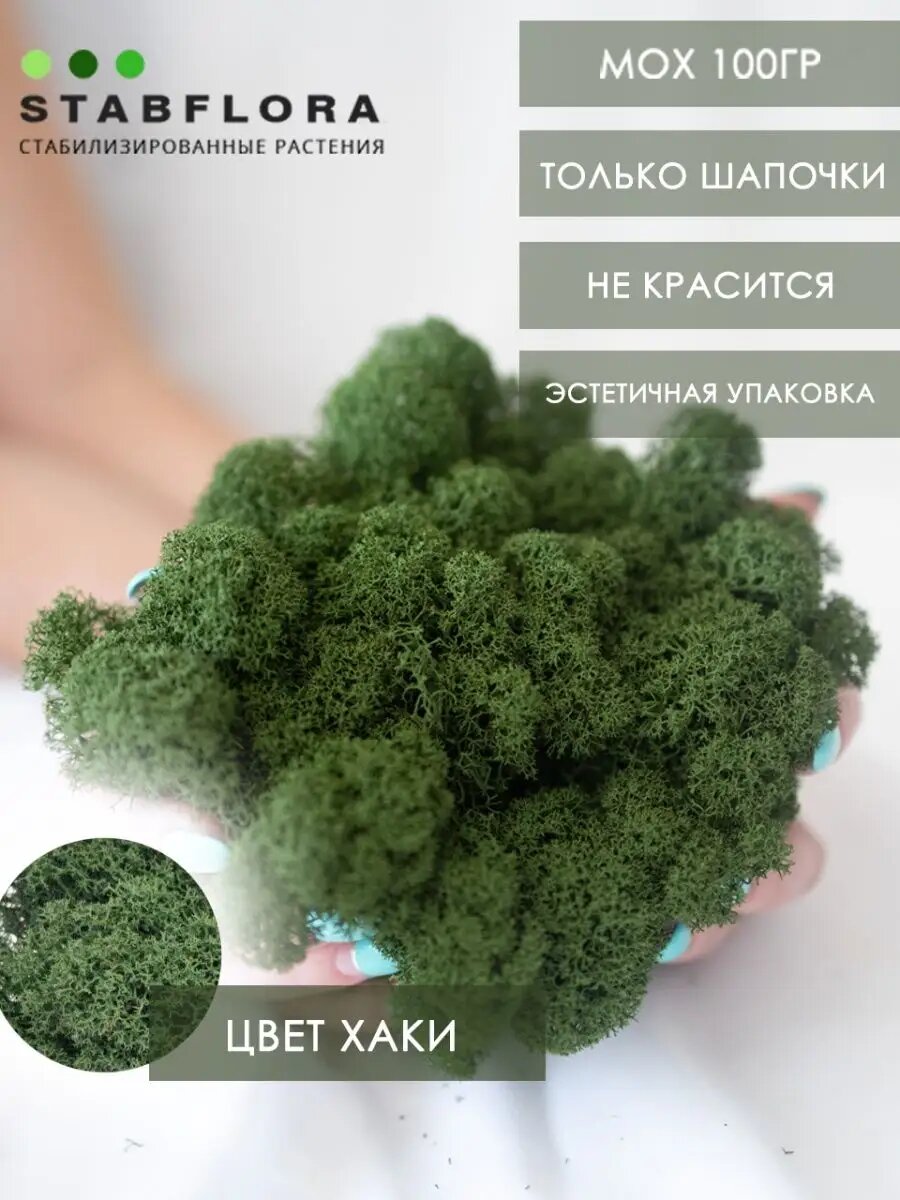 Мох стабилизированный 100гр в коробке