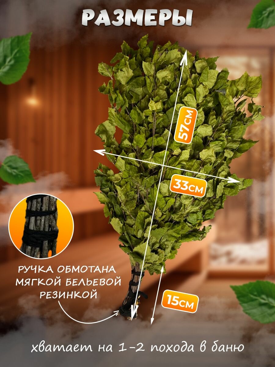 Берёзовый веник для бани и сауны. Правильно высушен и доставляется в надёжной коробке. — фото 1