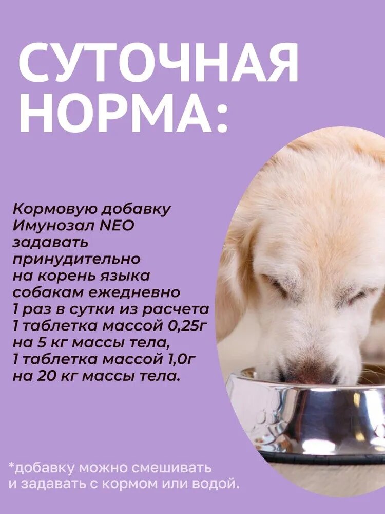 Имунозал NEO (Neoterica) кормовая добавка для кошек и мелких собак, 6 таб.