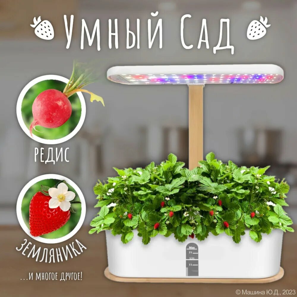 Умный сад, От сети
