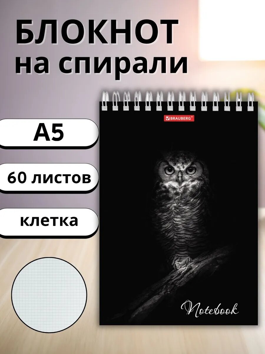 Блокнот Юнландия "Сова", на спирали, формат А5, клетка, 60 листов