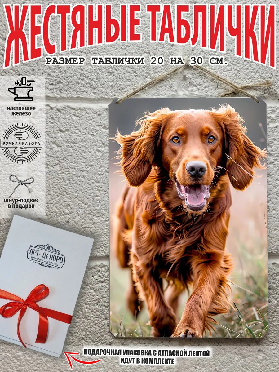 Собака постер на стену 20 на 30 см, шнур-подвес в подарок