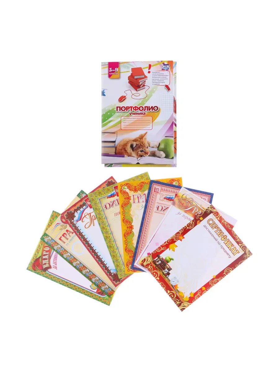 Папка Портфолио ученика 5 - 9 классы