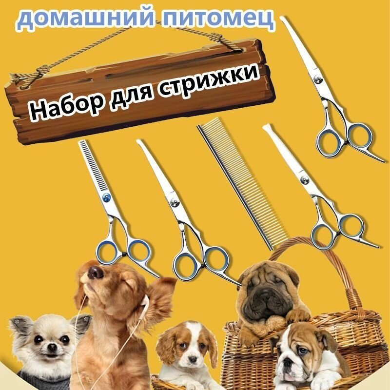 Набор для груминга , для собак и кошек, синий, нержавеющая сталь A2
