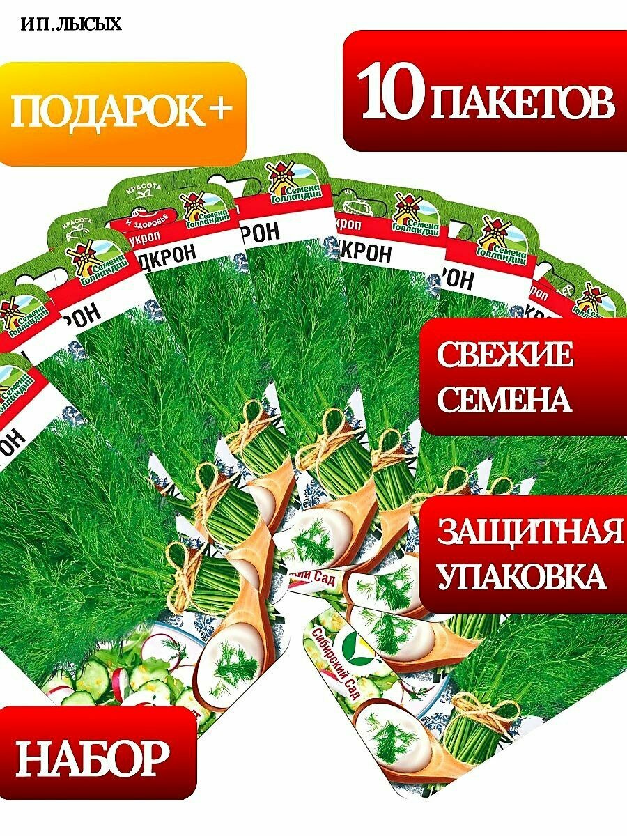 Семена Укроп "Голдкрон"
