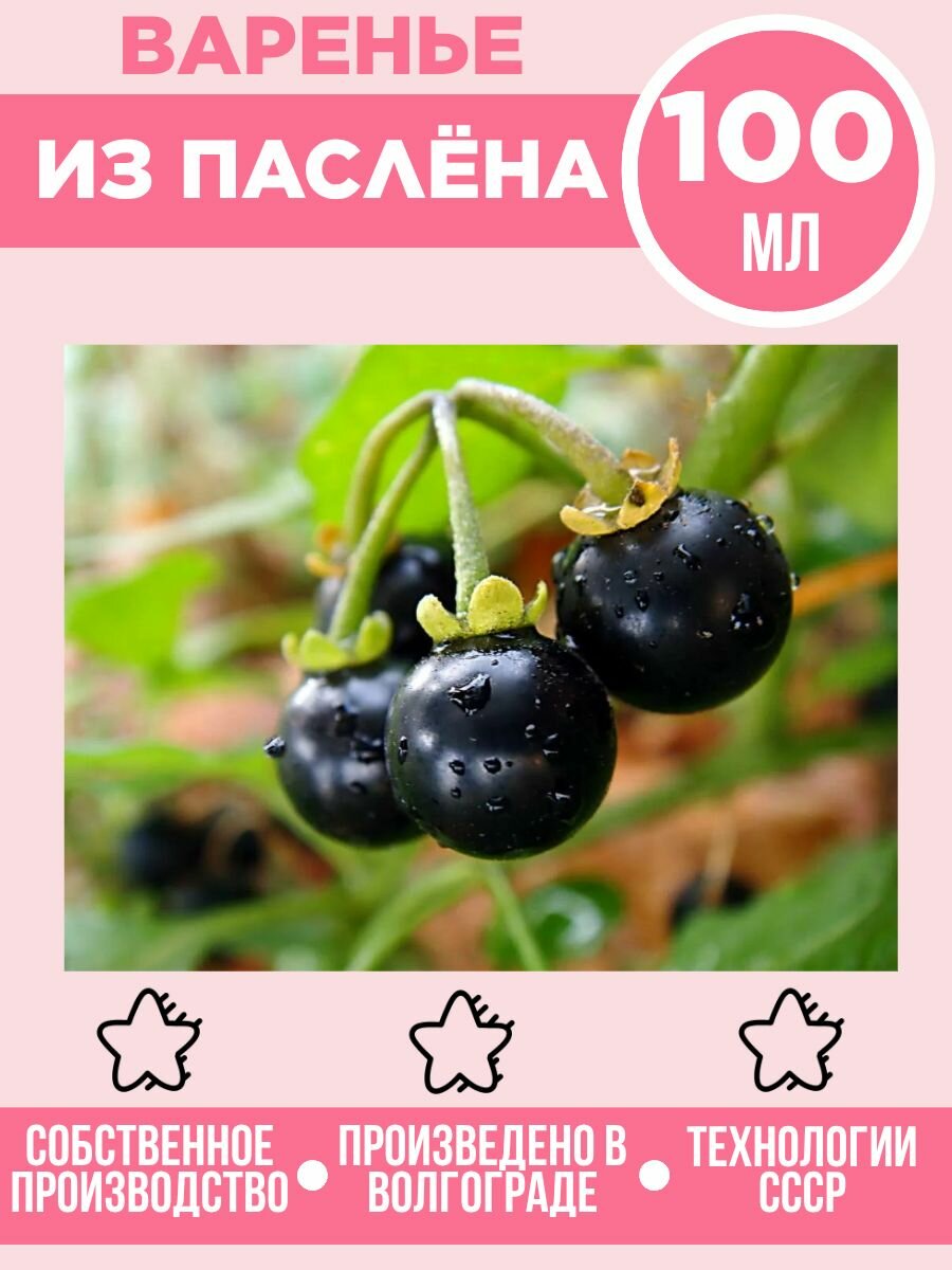 Варенье из паслёна 100 мл — фото 1