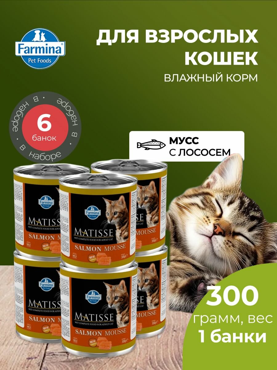Корм консервированный для кошек Farmina Matisse, Матисс мусс для кошек с лососем, влажный корм Фармина 300 г - 6 шт