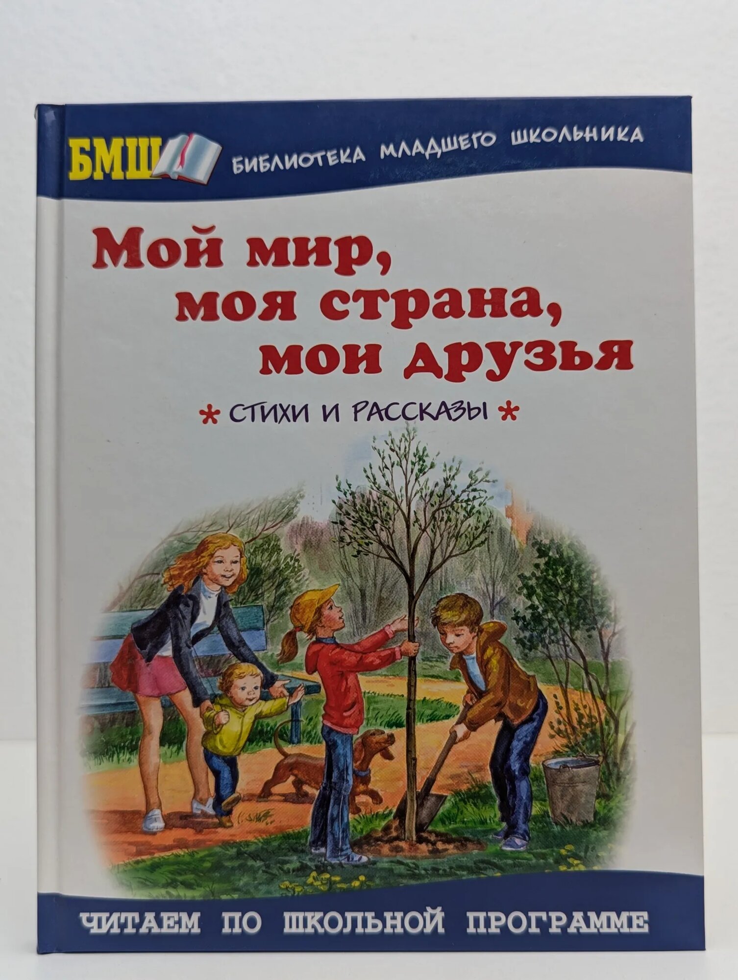 Мой мир, моя страна, мои друзья Занков Владимир Владимирович (сост.) 2009