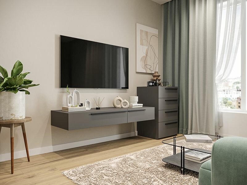 Мебель в гостиную "Лорена Пакс " 205х90х52 Серый графит