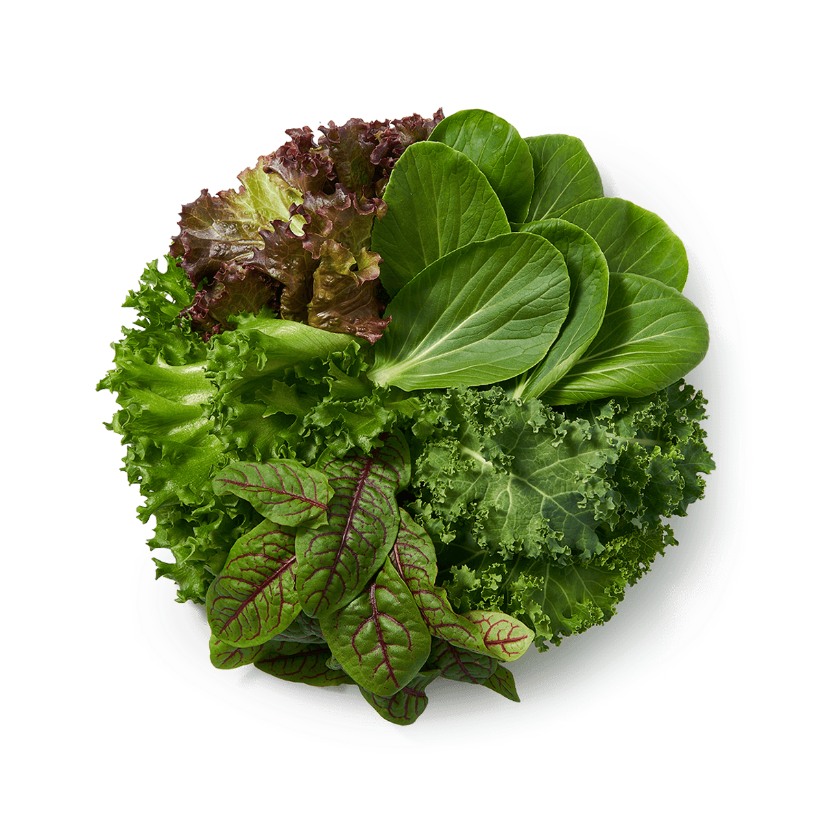 Салат "iFarm", салатная смесь, пластиковый контейнер, 75 грамм