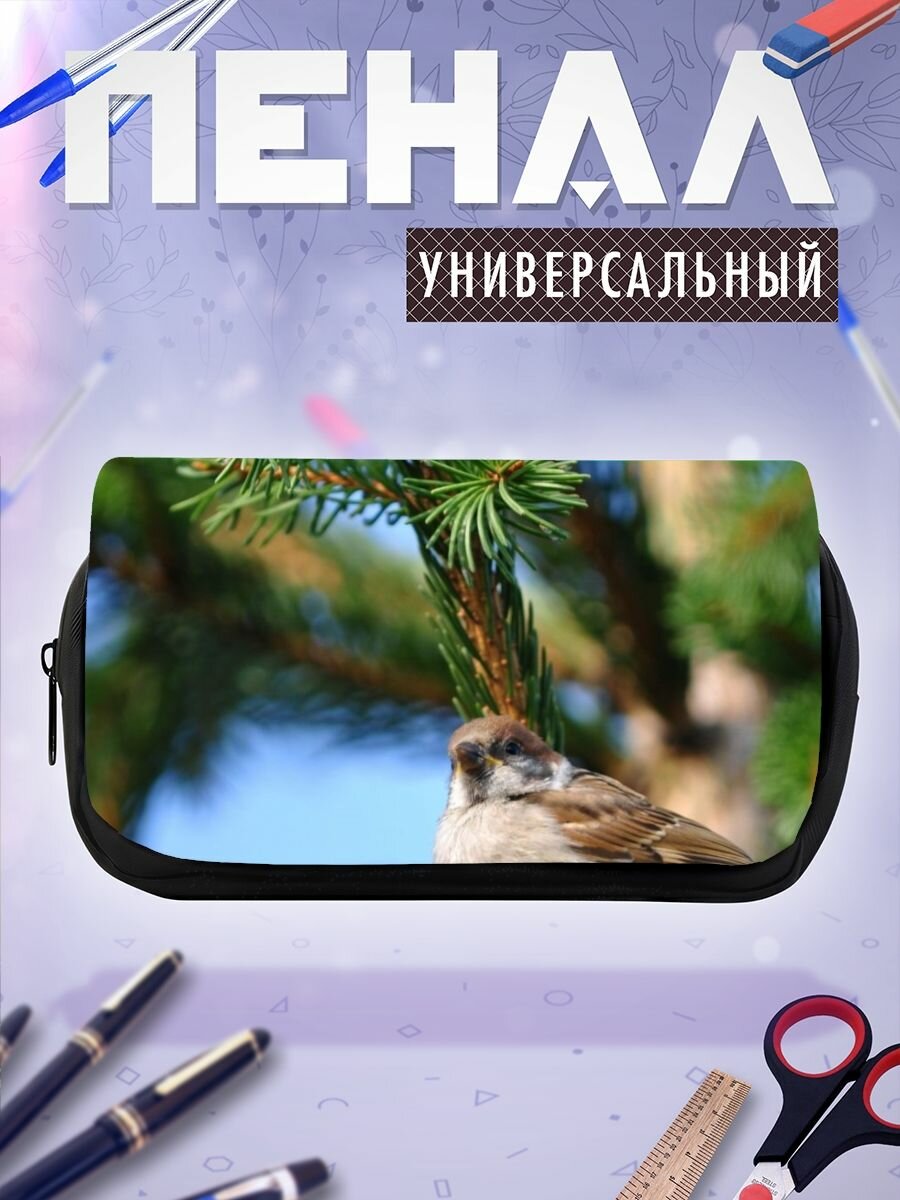 Школьный пенал птица клюв