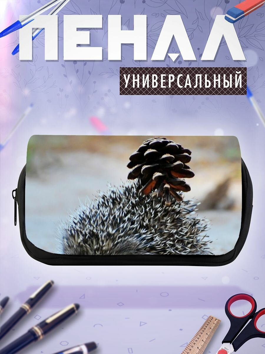 Школьный пенал ежик одомашненный ежик