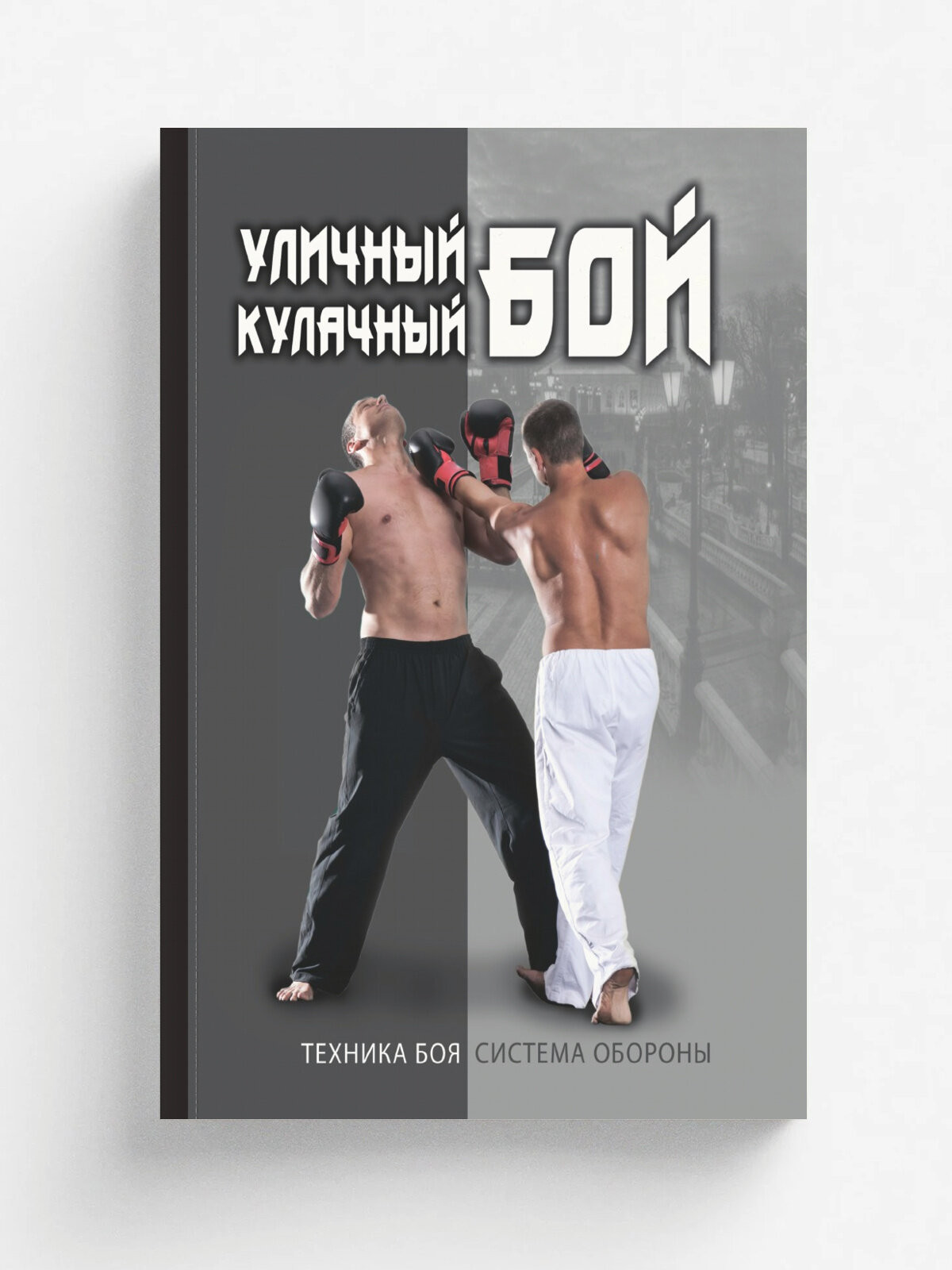 Уличный кулачный бой