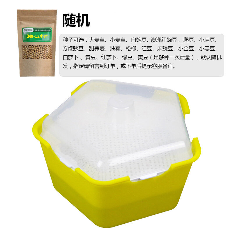 Гидропонные рассады чеснока, лук-шалот, ростки фасоли, поддон для посадки, зеленые ростки, поддон для рассады, беспочвенное выращивание, семена чеснока