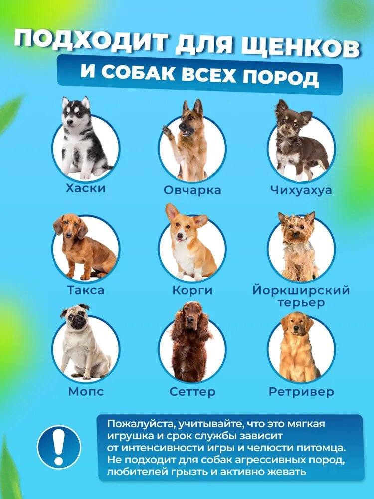 Интерактивная игрушка для собак с шуршащими и звуковыми эффектами, мягкая удочка-дразнилка, Серый красивый цвет Q613, 320мм — фото 1