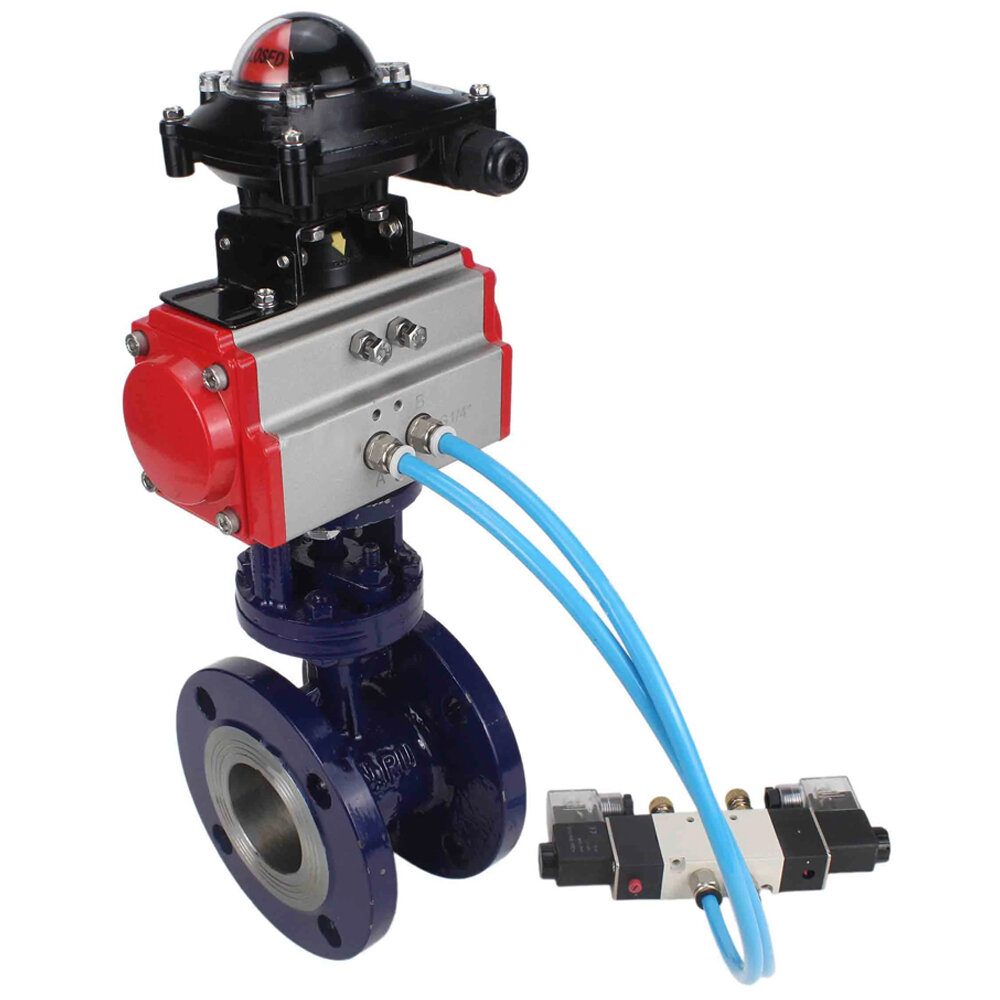 Затвор DN.ru WCB-316-M-F-ISO Ду50 Ру25, с пн. прив. SA-130, пн. распр. PND1-T10-220VAC, БКВ LSB-210