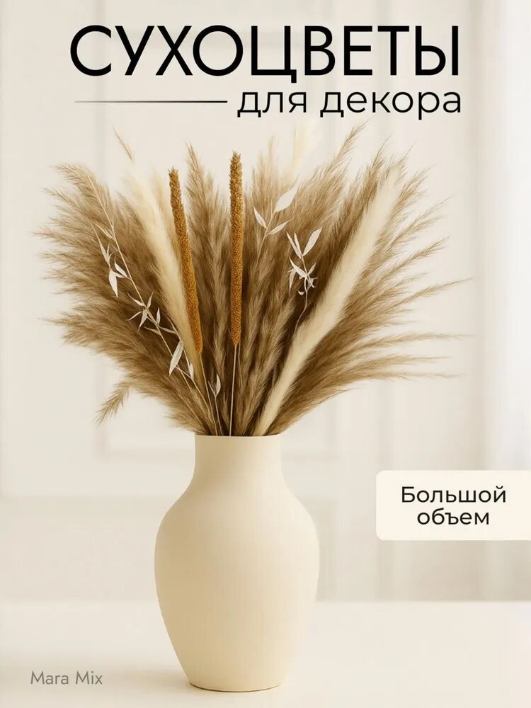 Сухоцветы Мискантус, Пампасная трава, 41 см, 145 гр, 1 шт