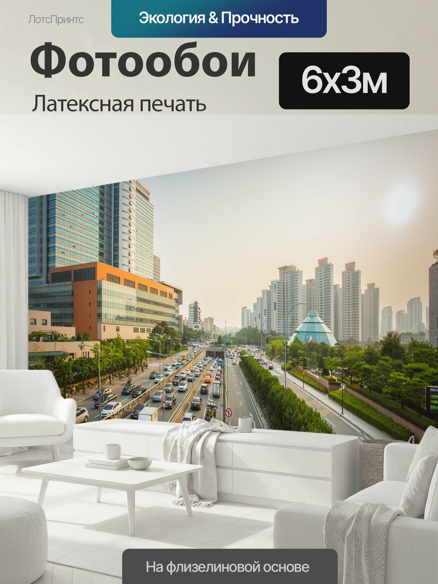 Фотообои моющиеся ударопрочные "Дорога, улица, город сеул" 600x300 см. латексная печать