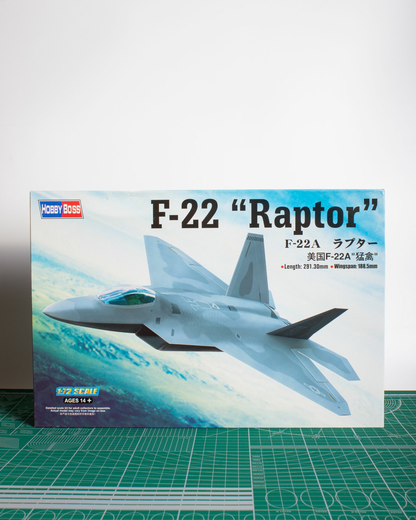 HobbyBoss/Американский истребитель F-22 Raptor