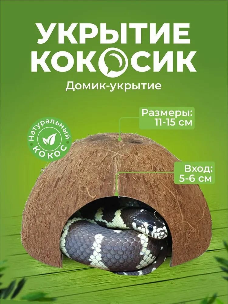 Кокосовое укрытие для рептилий, украшение декорация для террариума, убежище для ящериц, змей, натуральное пробковое дерево.