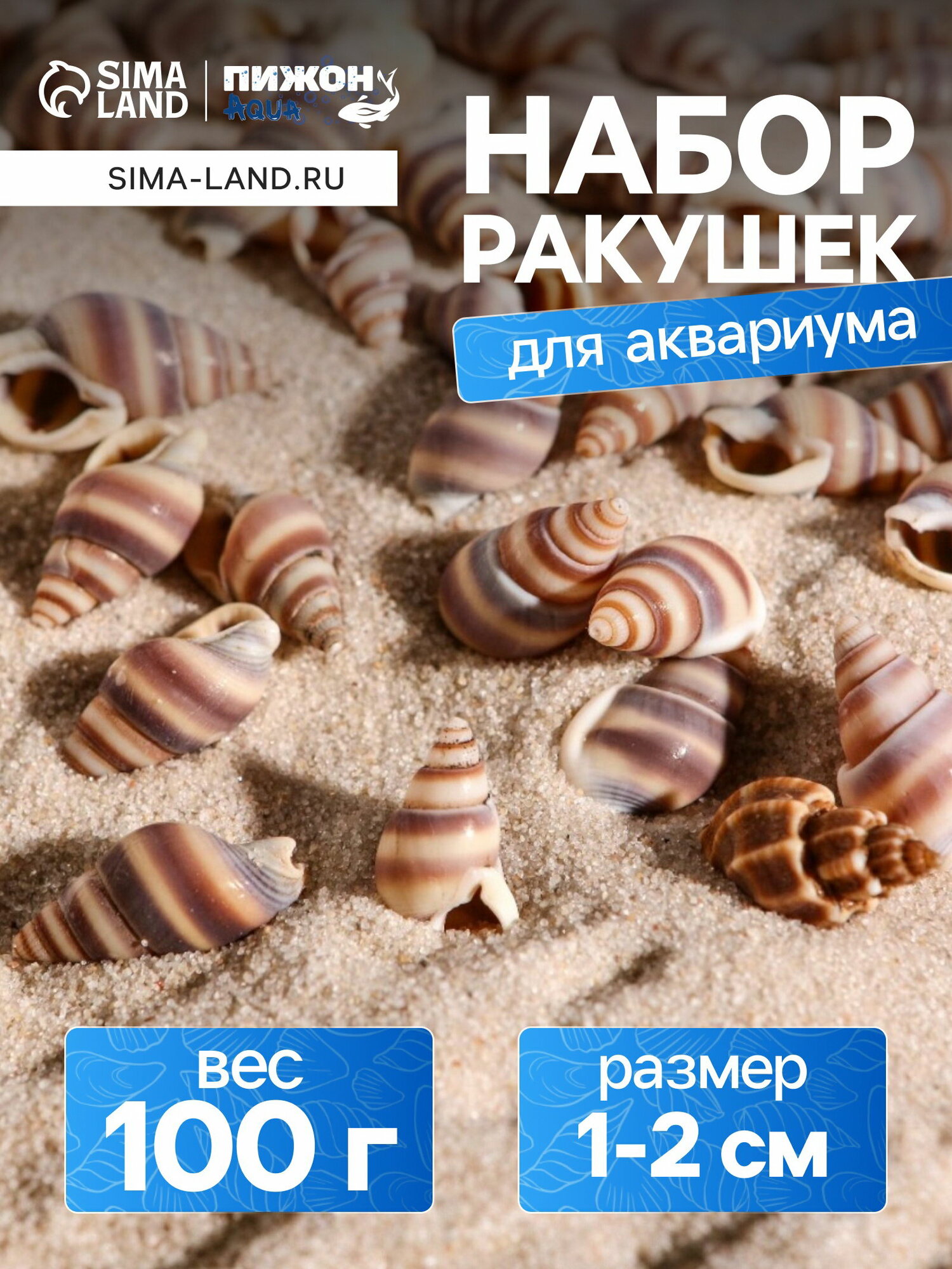 Набор ракушек, 1 - 2 см, 100 г, вид декора: ракушки, цвет: коричневый