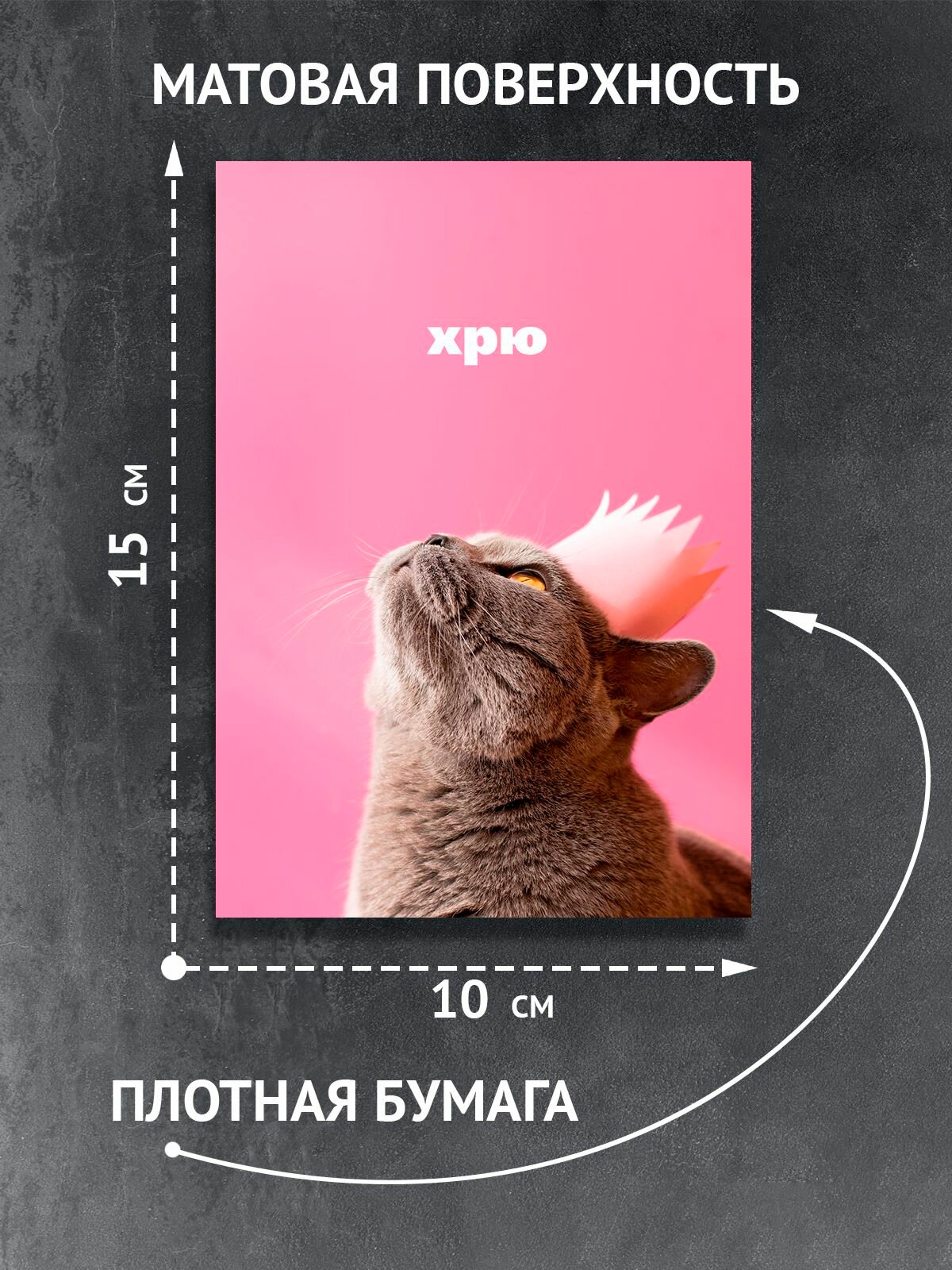 Подарочная открытка с уникальной иллюстрацией котик "Хрю" с днем рождения, с юбилеем, без повода