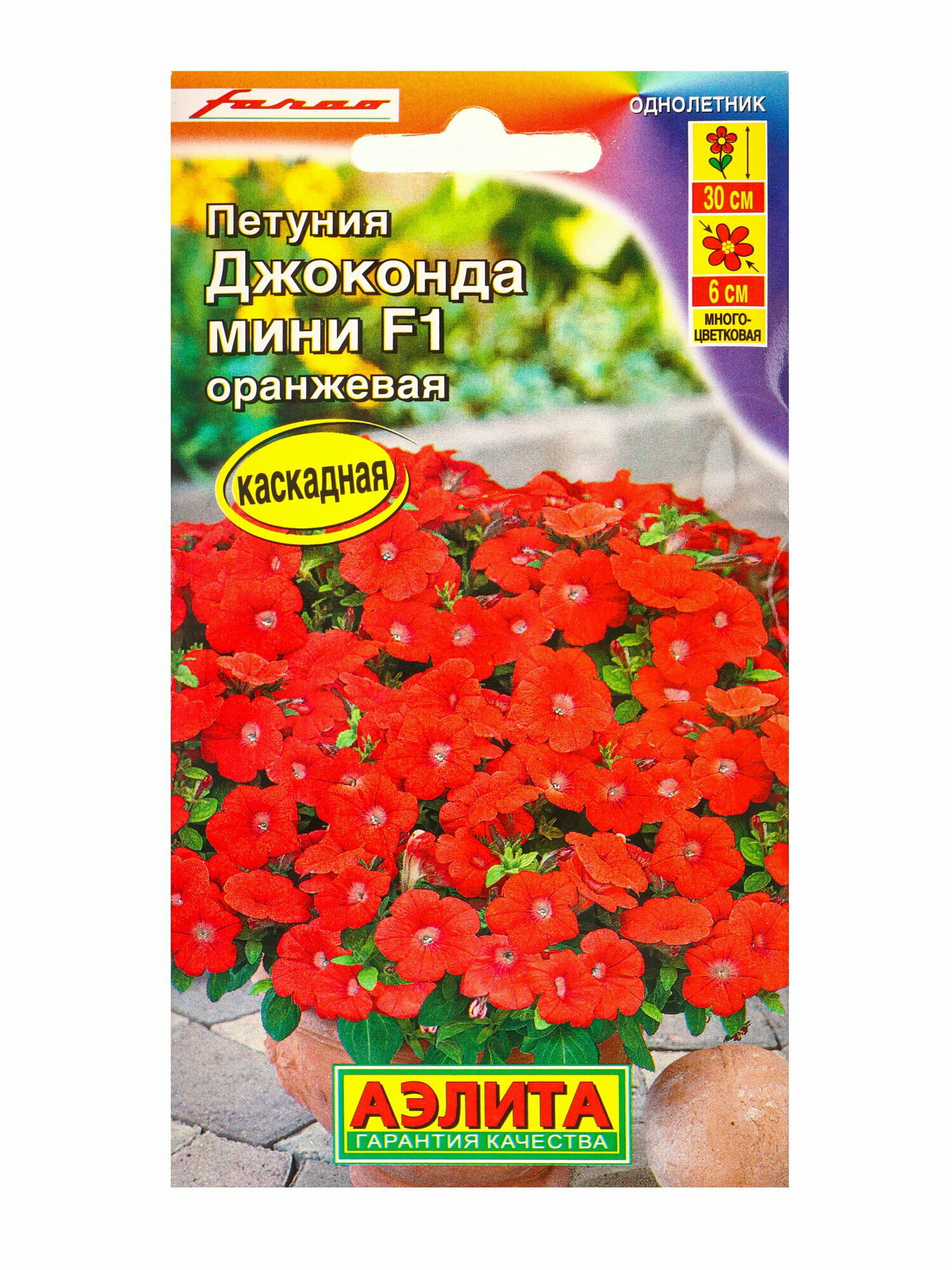 Семена цветов Петуния "Джоконда мини", F1, оранжевая, 5 шт, цветение период: август