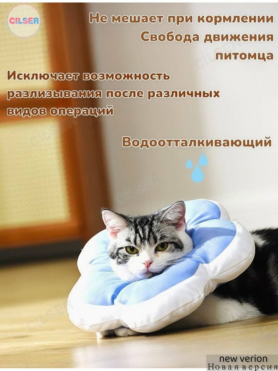 Воротник для животныхA — фото 1
