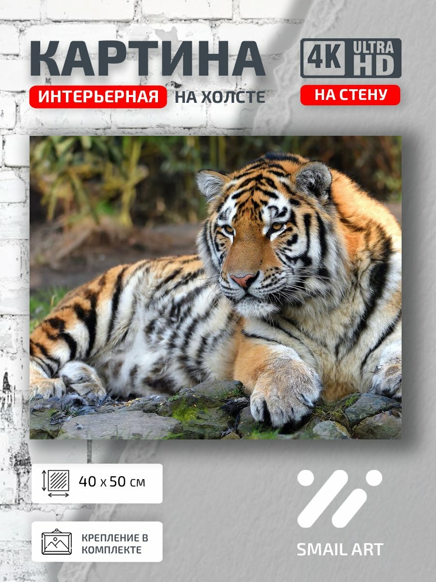 Картина на холсте интерьерная 40 на 50 на стену Камни Animal для кабинета animal style