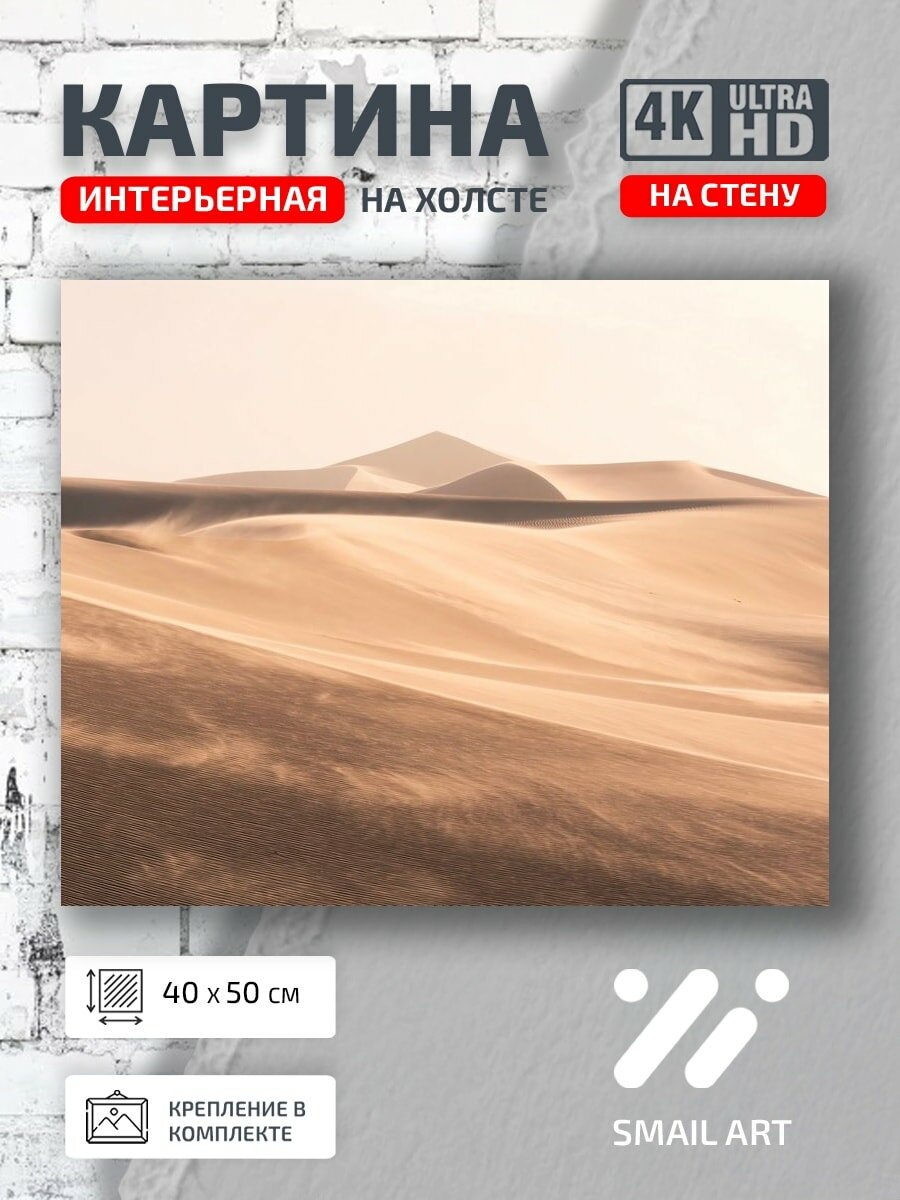 Картина на холсте интерьерная 40 на 50 на стену Природа Пустыня для гостиной пейзаж