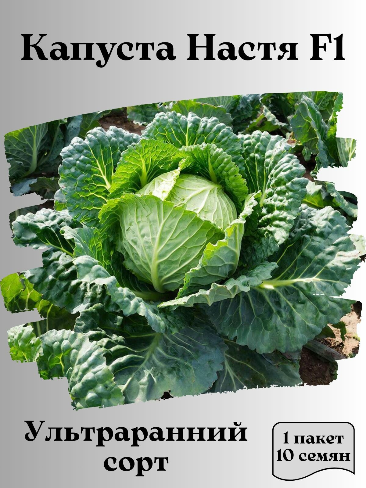 Капуста Настя F1, семена, 10 шт, 15 гр.