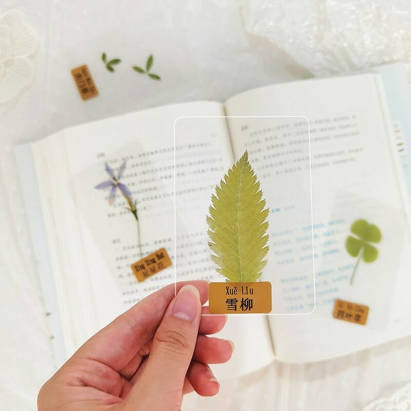 Настоящий четырехлистный клевер, амулет, приносит удачу, отгоняет невезение и сохраняет его сухим и постоянным.