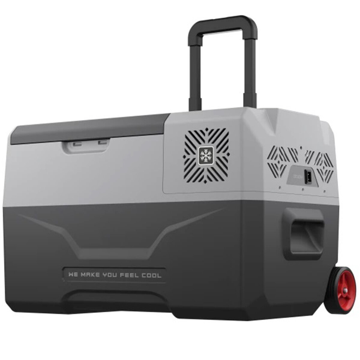 Автохолодильник Alpicool CX30 (12/24)