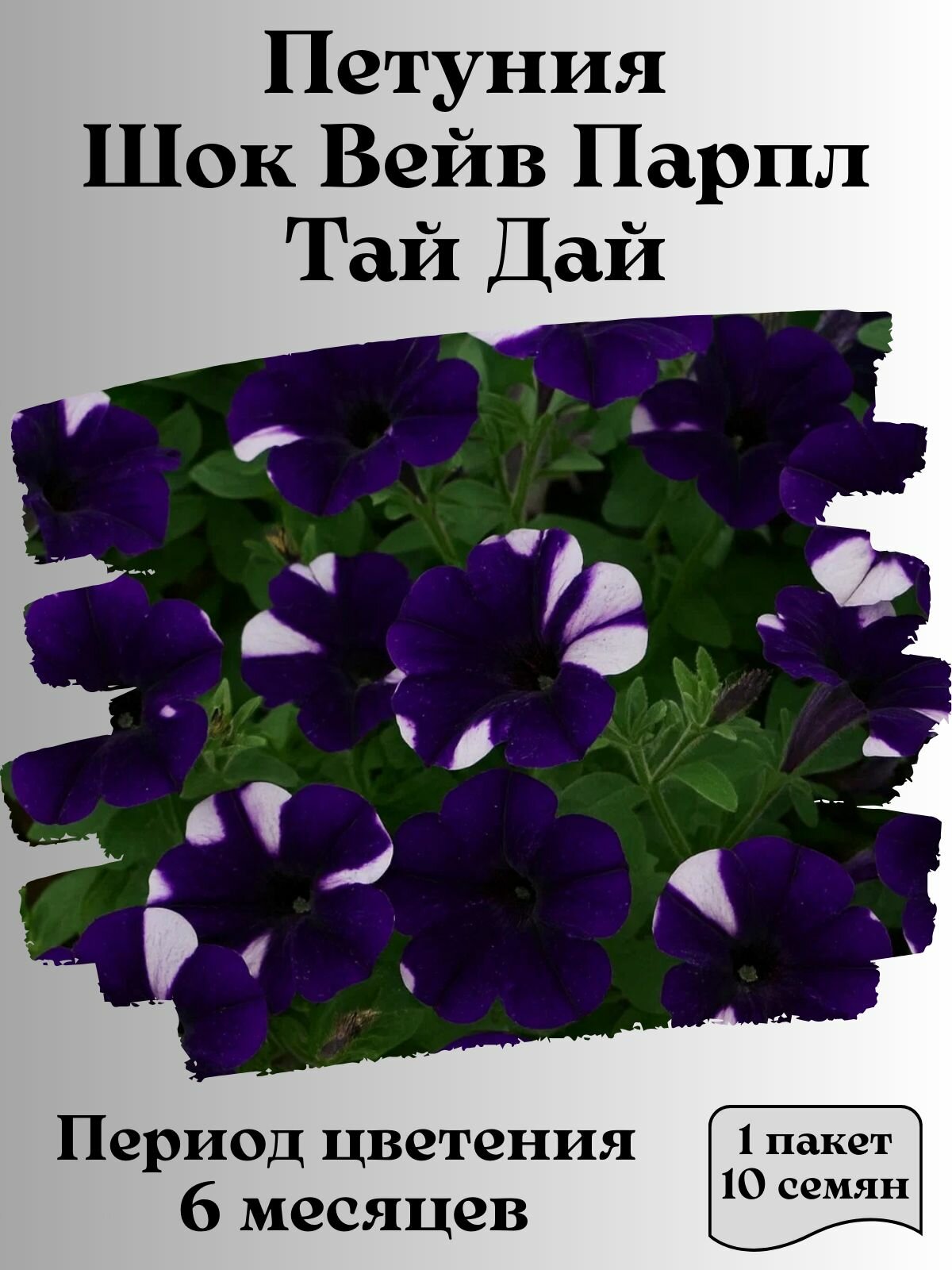 Петуния Шок Вейв Парпл Тай Дай, семена, 10 шт, 15 гр.