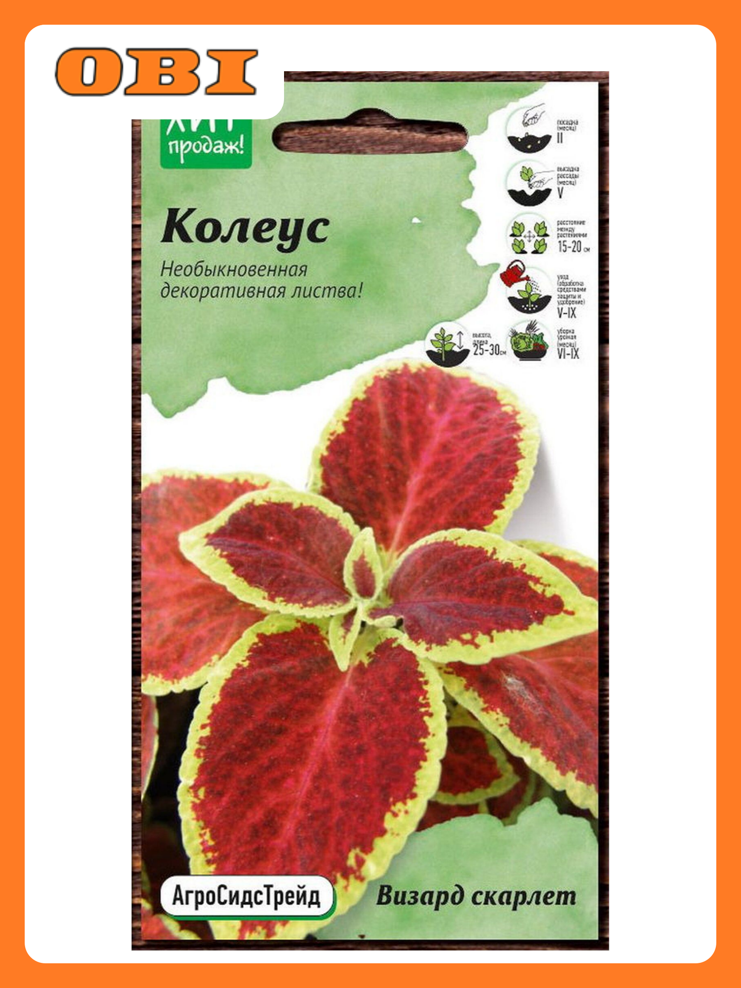 Семена Колеуса АгроСидсТрейд Визард скарлет 2 г