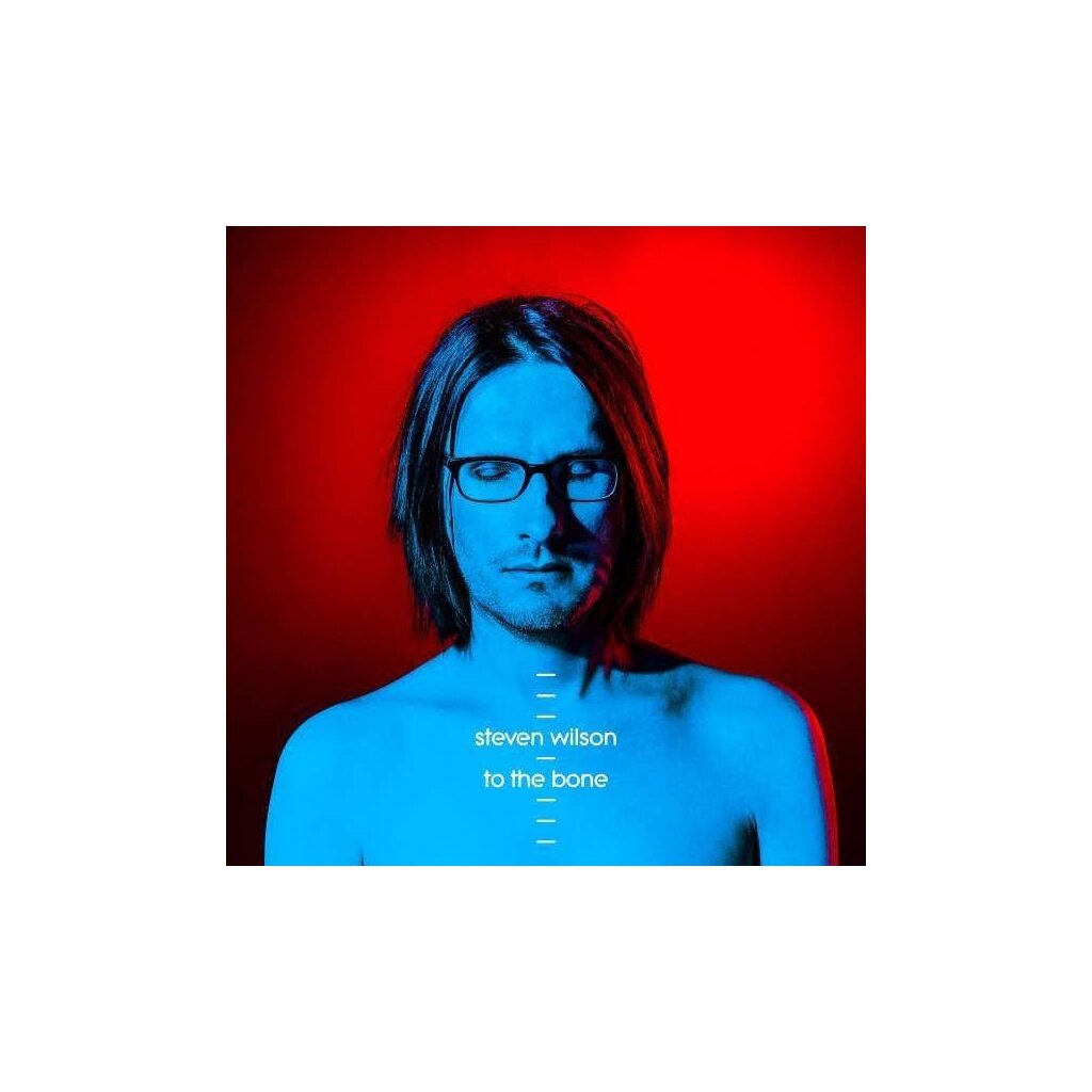 Виниловая пластинка Steven Wilson - To The Bone (180g) (45 RPM) (2 LP)