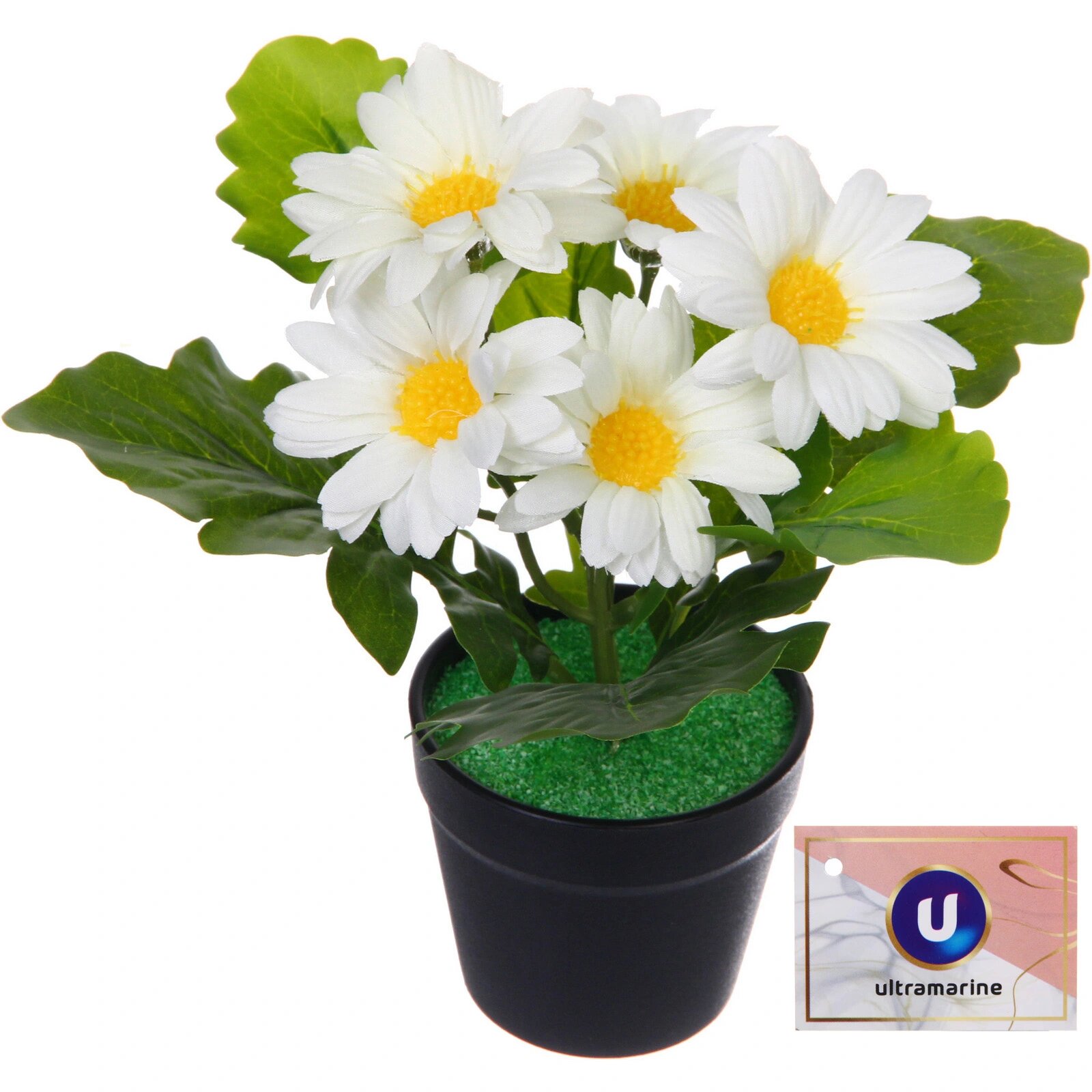 Искусственная хризантема в горшке «Поцелуй лета», белая, 20 см, пластик, полиэстер