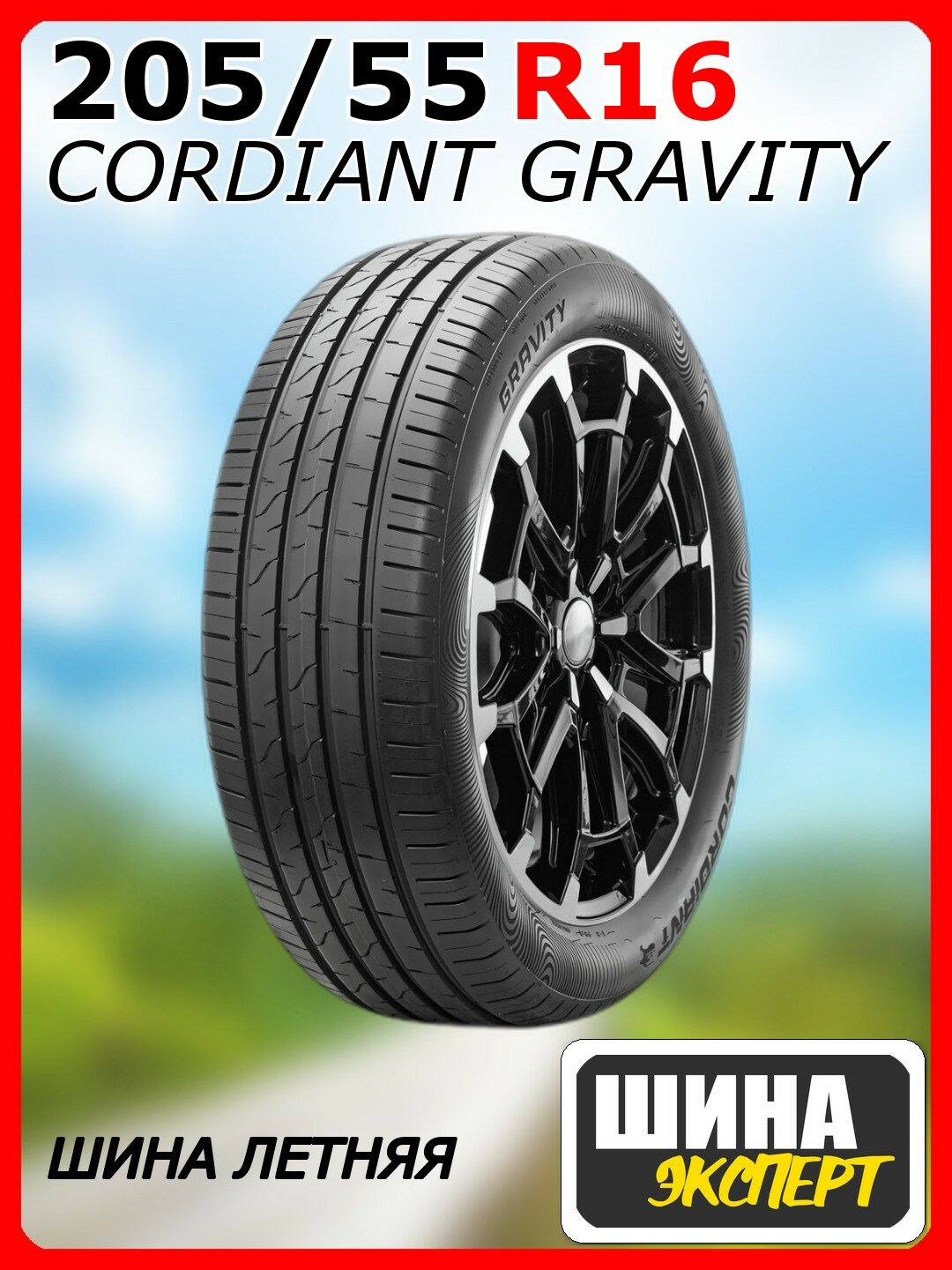 Шина летняя CORDIANT 205/55/16 V 94 GRAVITY для легковых автомобилей 1391885004