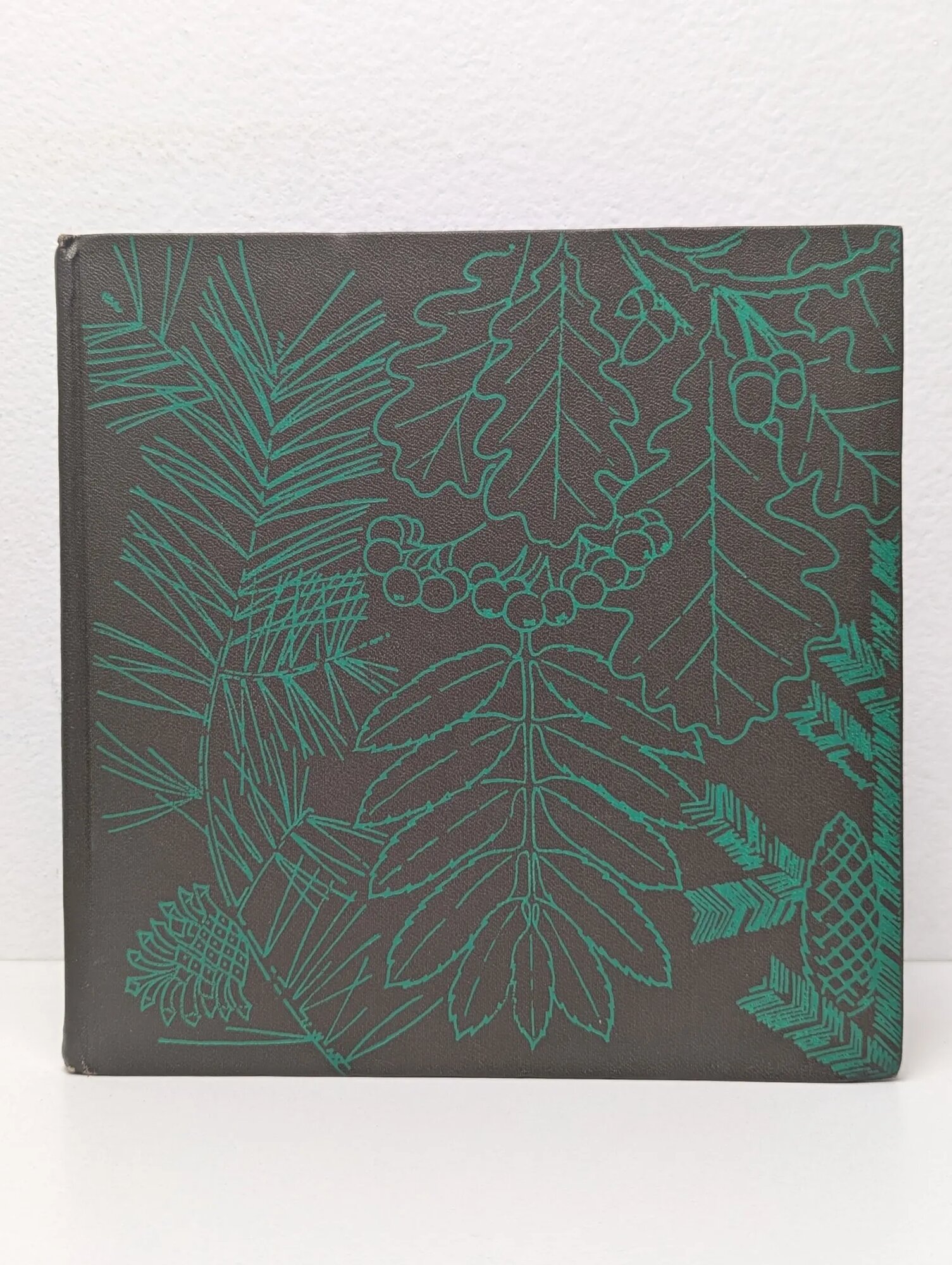 Природа и фантазия. Альбом Стин Ирвин, Фирсов Александр 1971