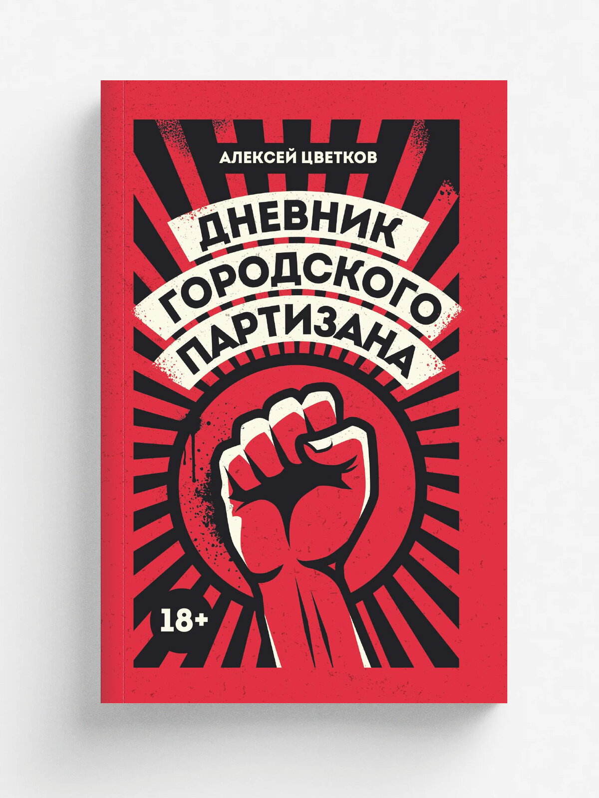 Дневник городского партизана