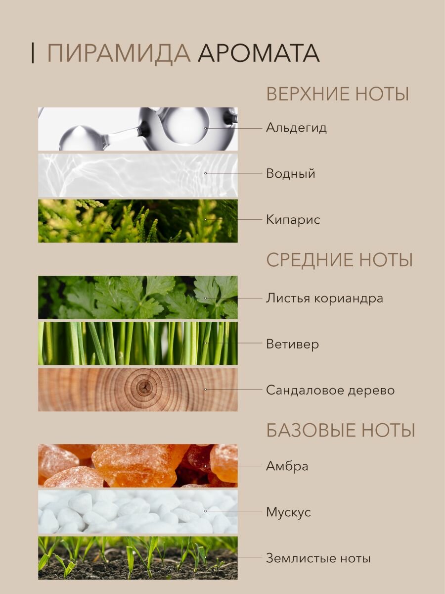 ECOLATIER / Ароматический диффузор MOUNTAIN MIST, 100 мл — фото 1