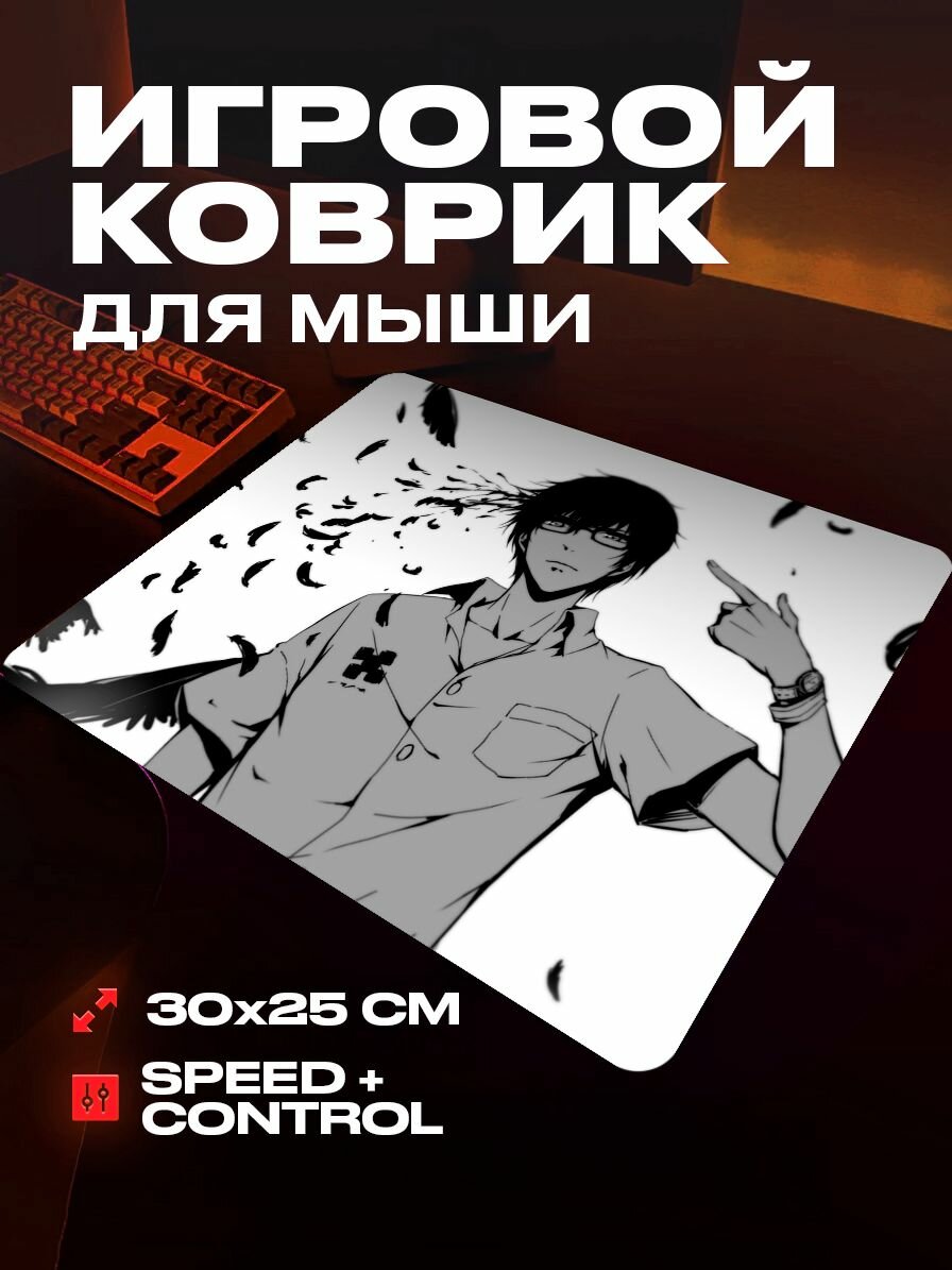 Коврик для мыши игровой Terror in resonance 30x25 см