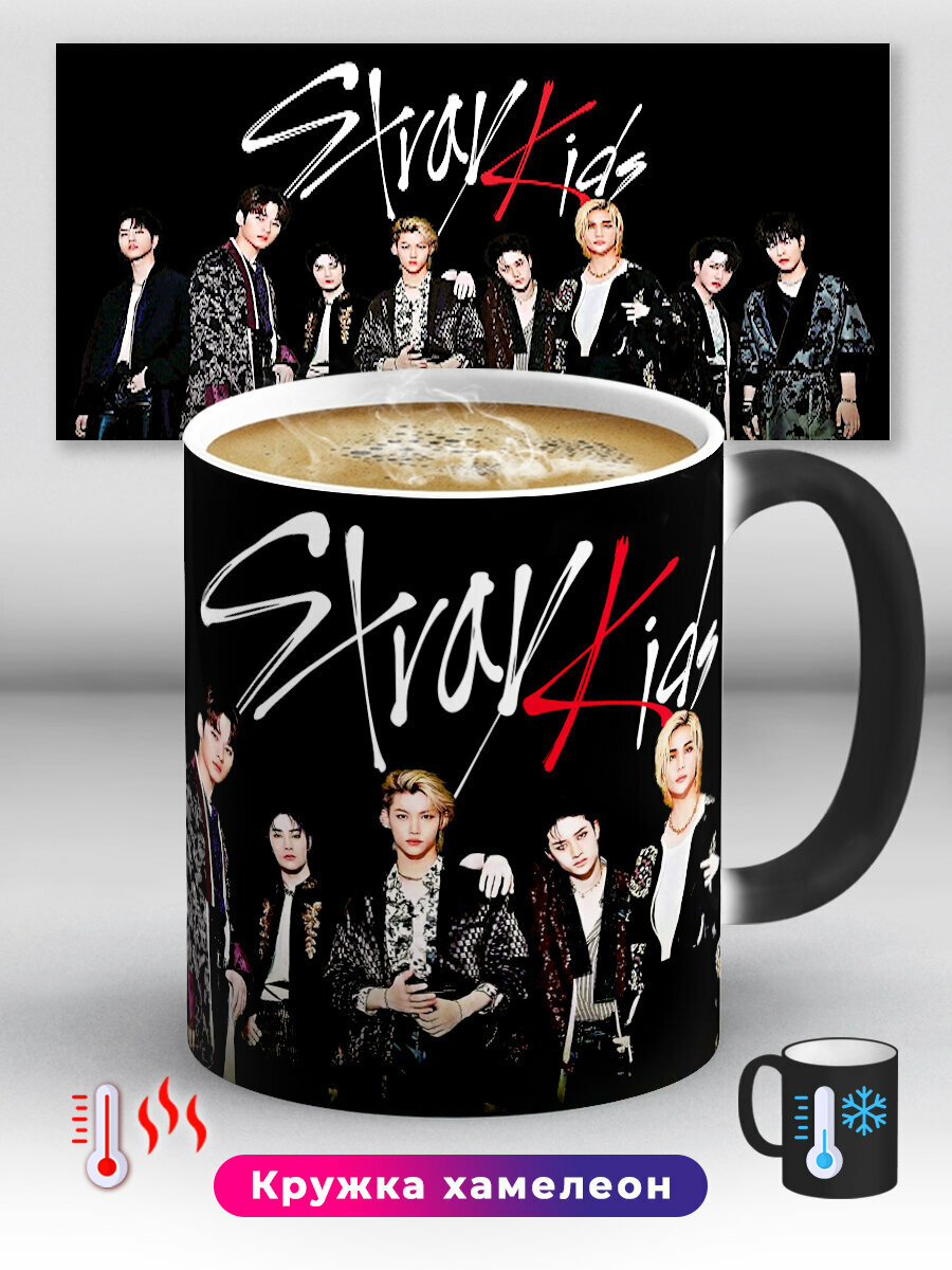 Кружка хамелеон Stray Kids K-POP