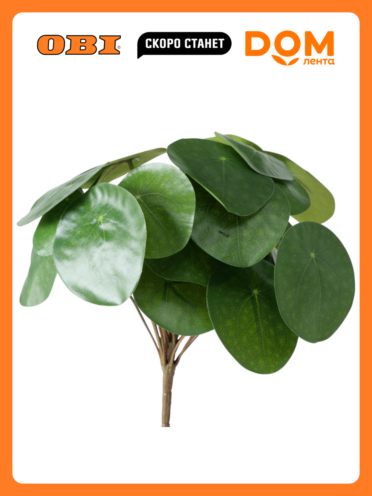 Эвкалипт искусственный 25 см