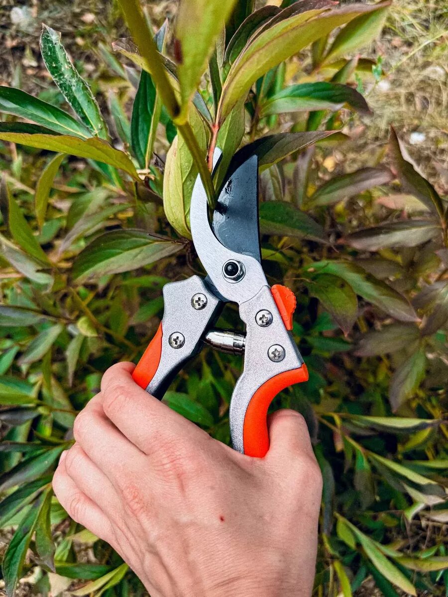 Секатор садовый универсальный