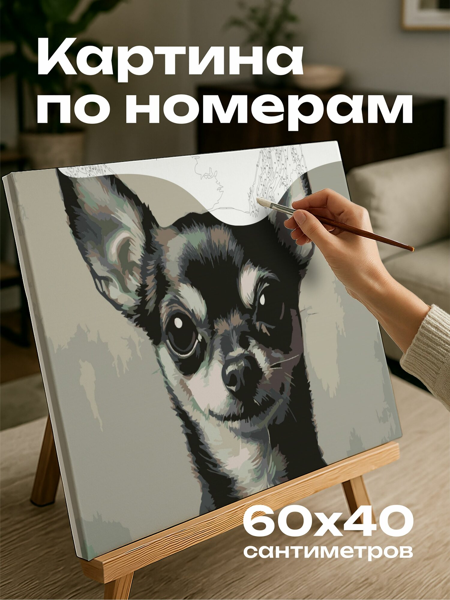 Картина по номерам 60x40 см, чихуахуа, масляная картина, серая шерсть, грация, элегантность, уравновешенность