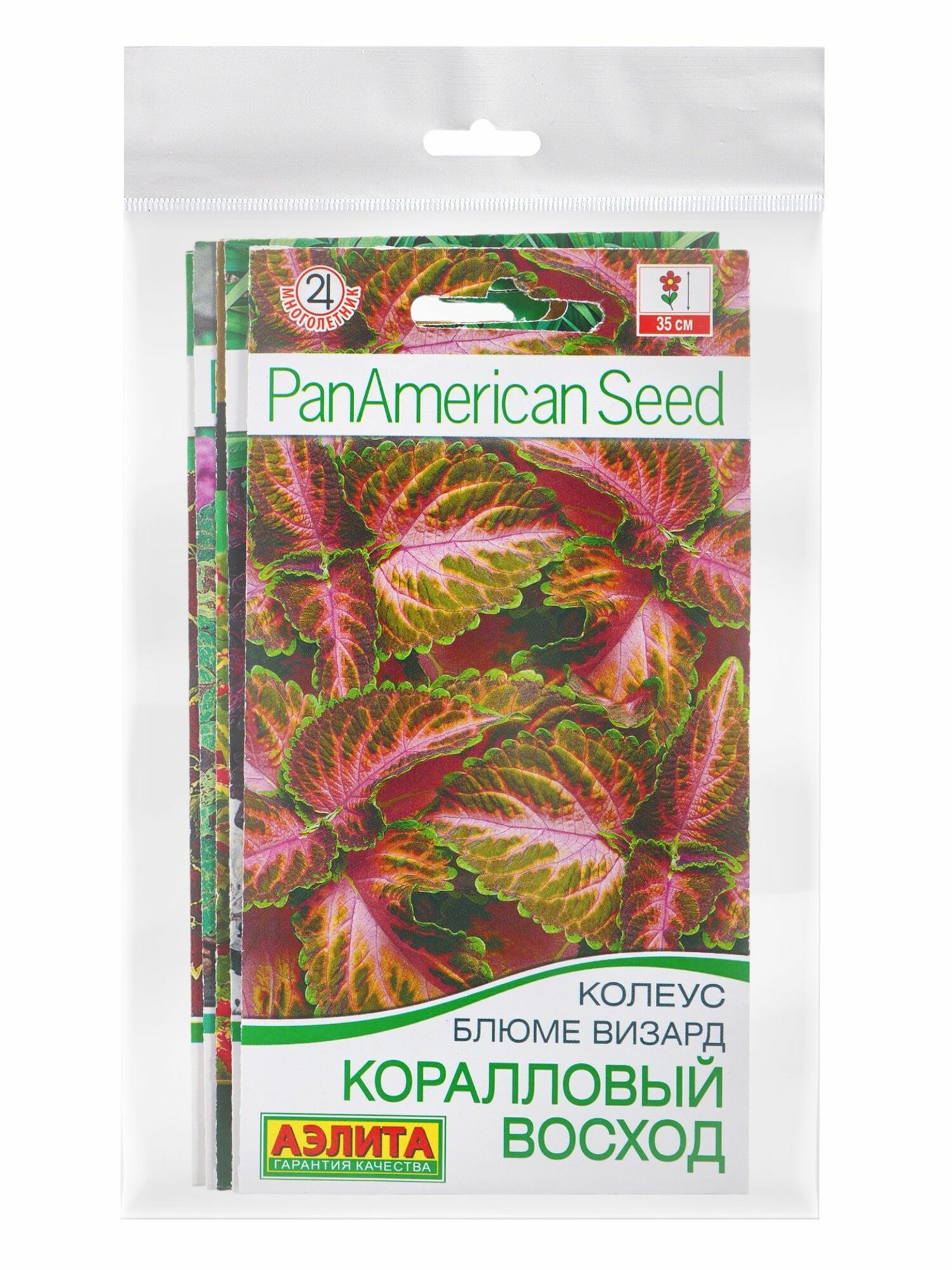 Семена цветов Колеус, смесь, для клумб, горшков и кашпо, набор