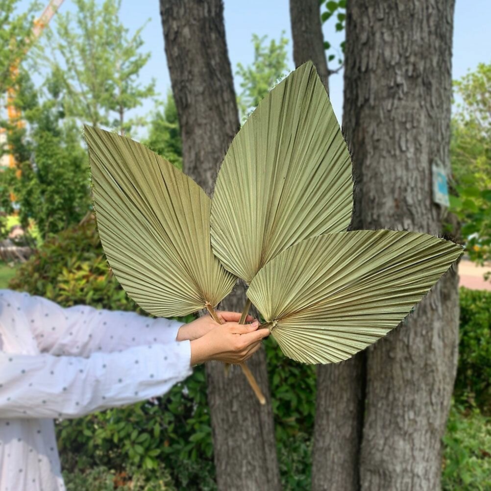 Лист Пальмы Из Древесины Для Свадебного Оформления 1 Штука