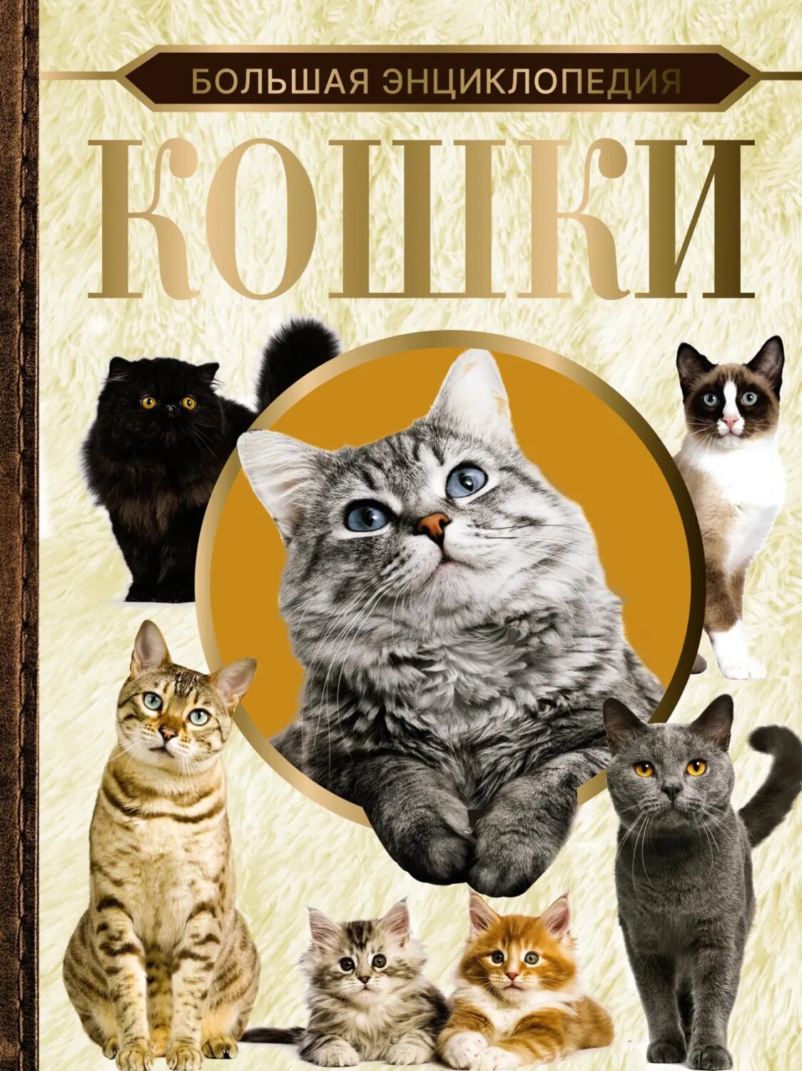 Большая энциклопедия. Кошки [Цифровая книга]